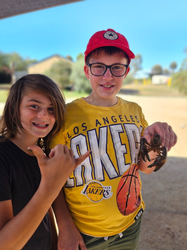 Work @ GVL - Global Village Learning